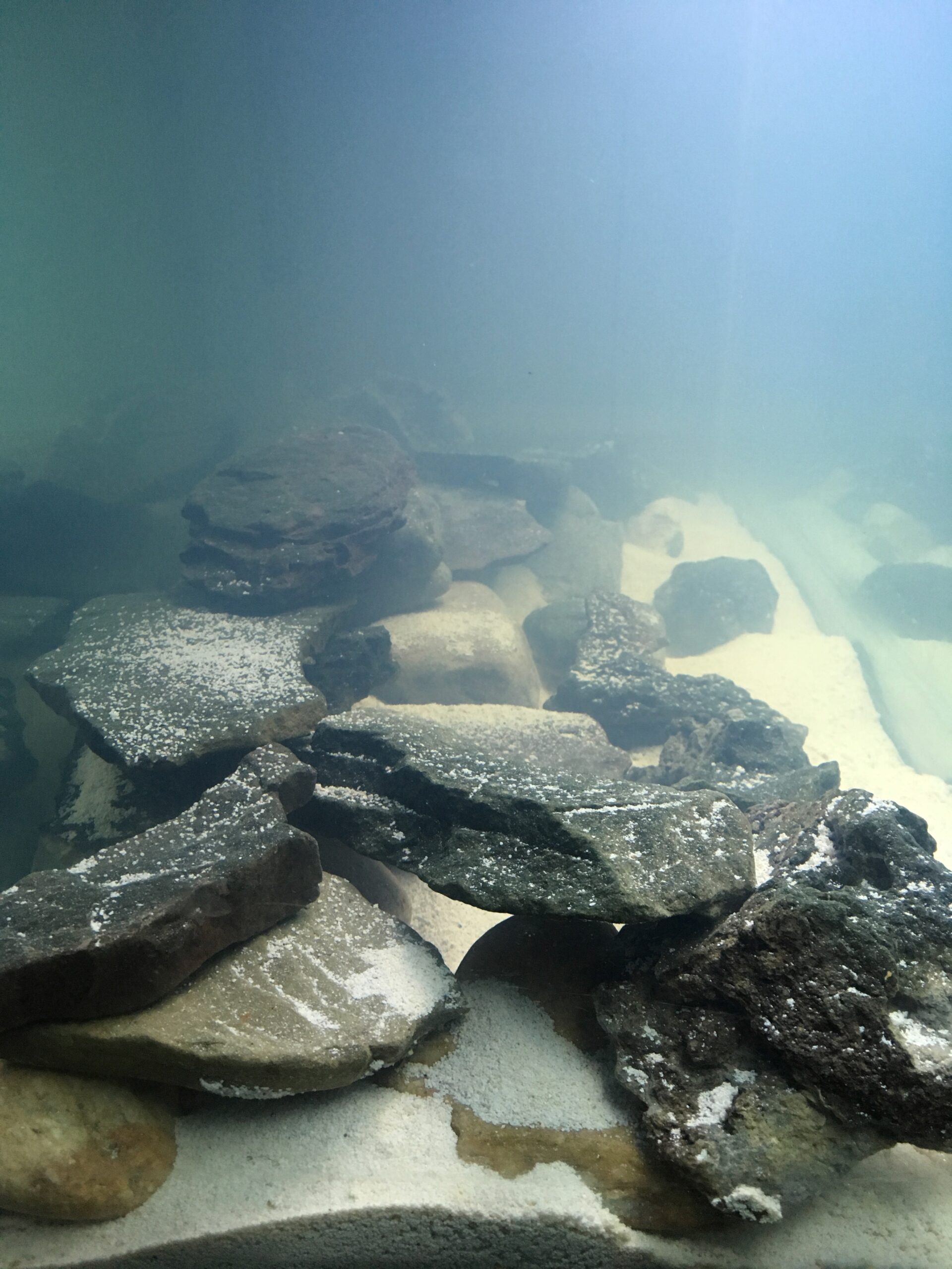 Fish Tanks - Welcome to Basic Life Radio